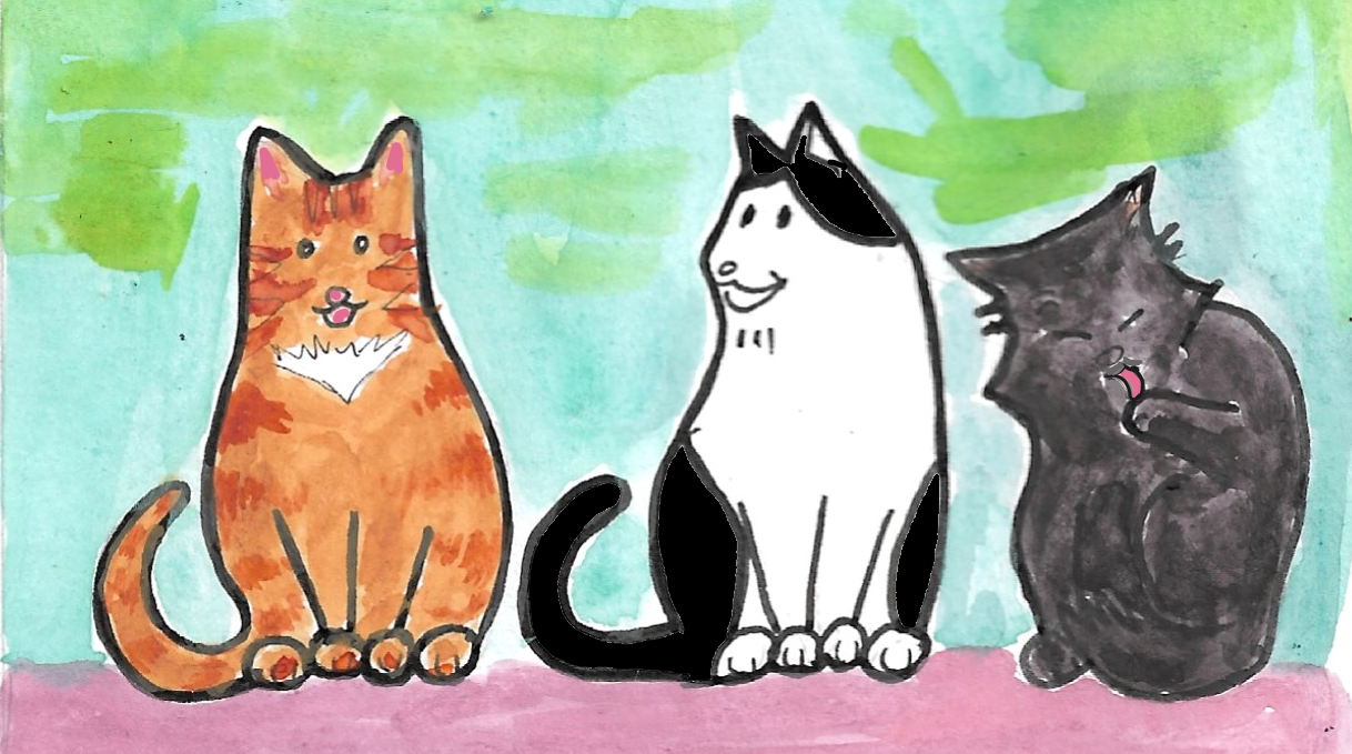 Cats in the cinema