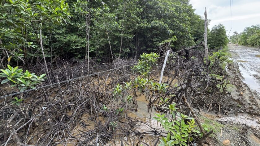 Caraga faces environmental damage from nickel mining